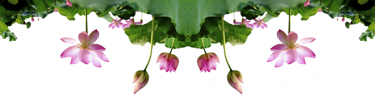 Mr. Ajay Kumar | Luxury Indian Designer Brand